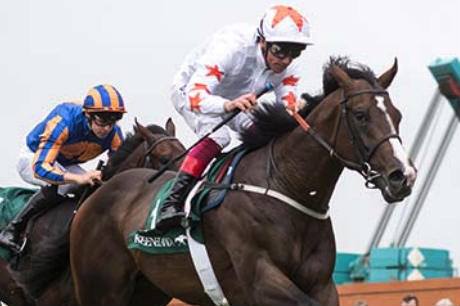 DDF prepares to host 12th Irish Derby at state-of-the-art The Curragh ...